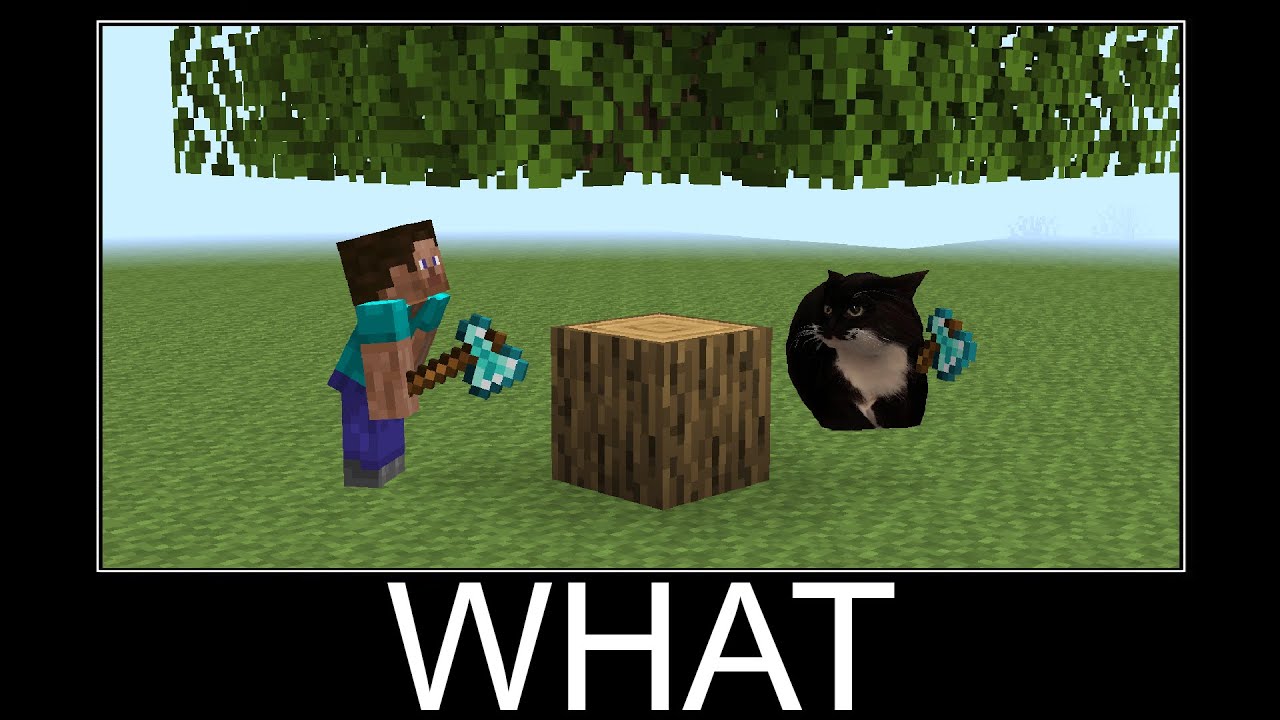 Compilation Maxwell The Cat part 6 - wait what meme in Minecraft - YouTube