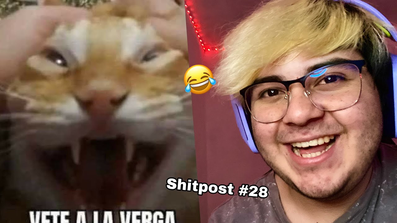 Reaccionando a Shitpost #28🤣 - YouTube