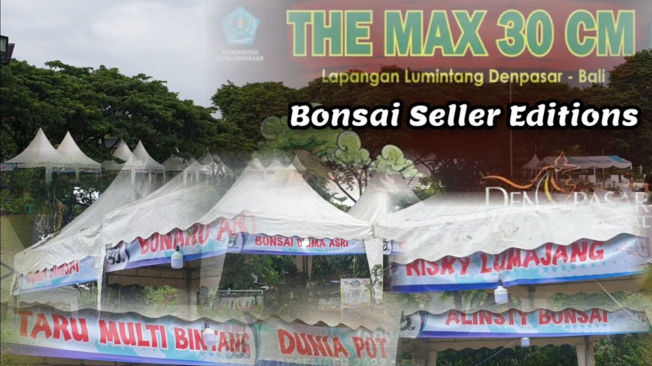 Bonsai Contest From The Max 30 Cm Bali - YouTube