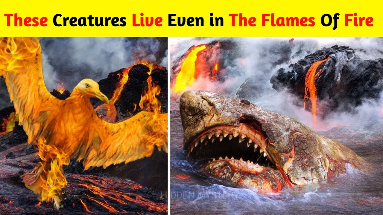 10 Unique Animals Found in Volcanoes | 10 Incredible Animals That Live ...