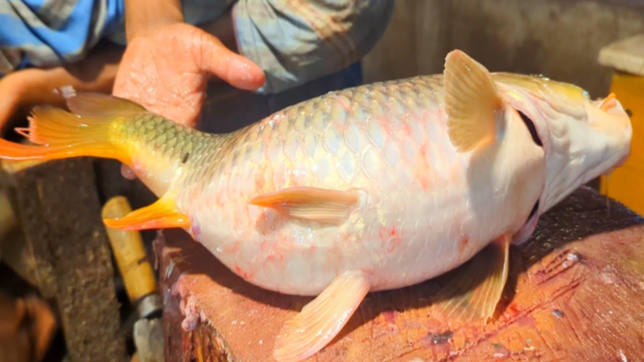 Incredible Huge Golden Carp Fish Cutting & Skinning Skills In Local ...