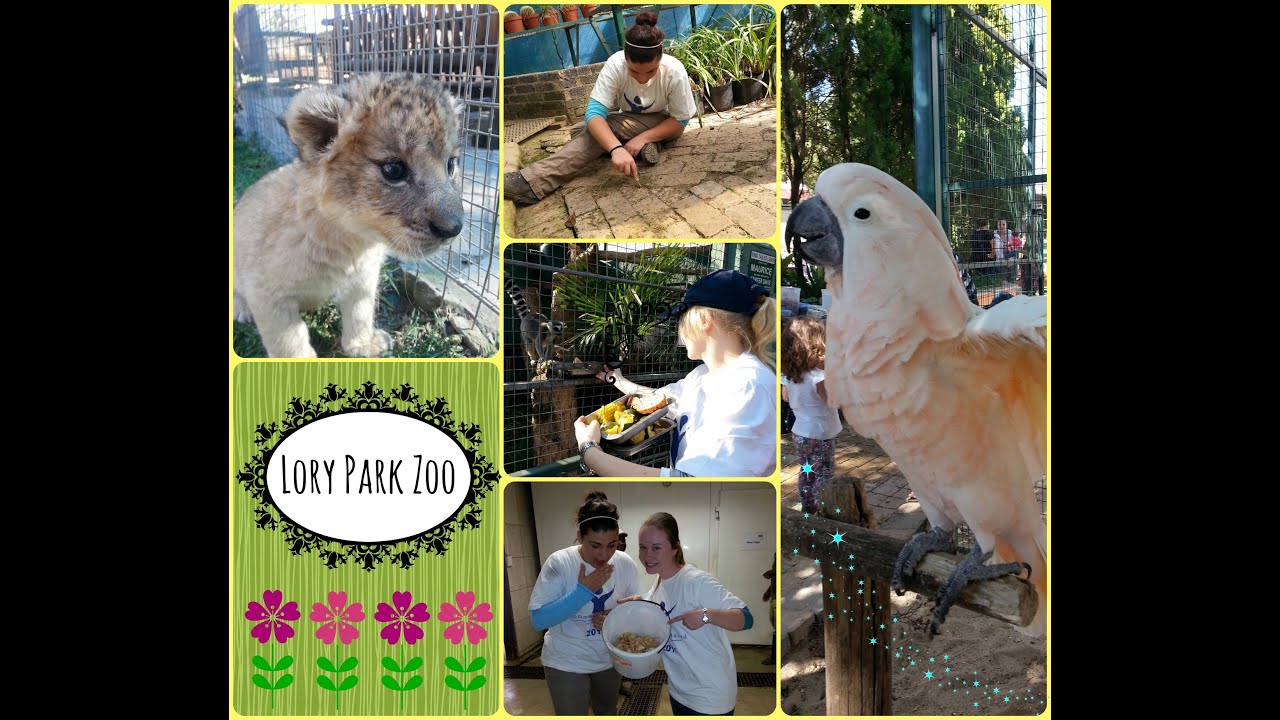 JCP 2014 Group 108 Lory Park - YouTube