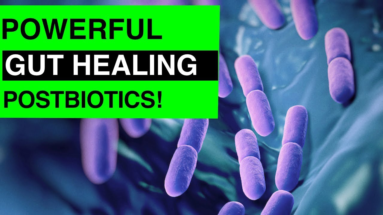 GUT HEALTH | Powerful Gut Healing | Probiotics - Postbiotics - YouTube