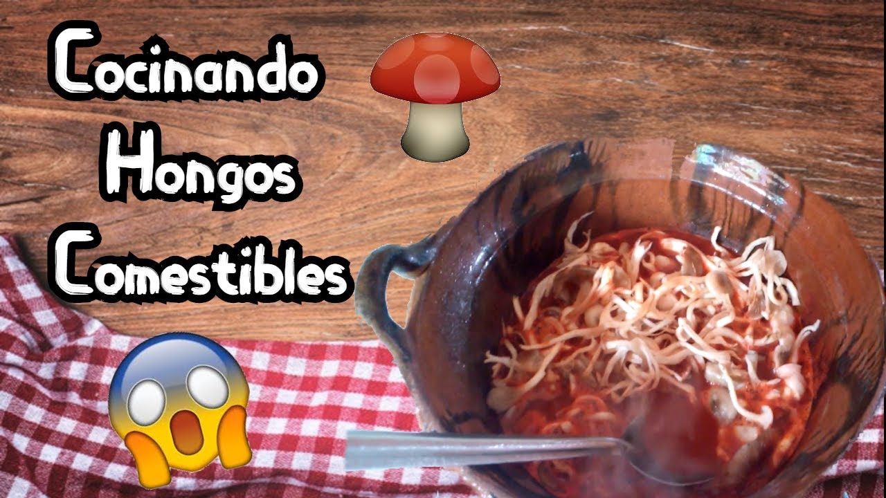 Como se Prepara HONGOS Comestibles🤩🍄 - YouTube