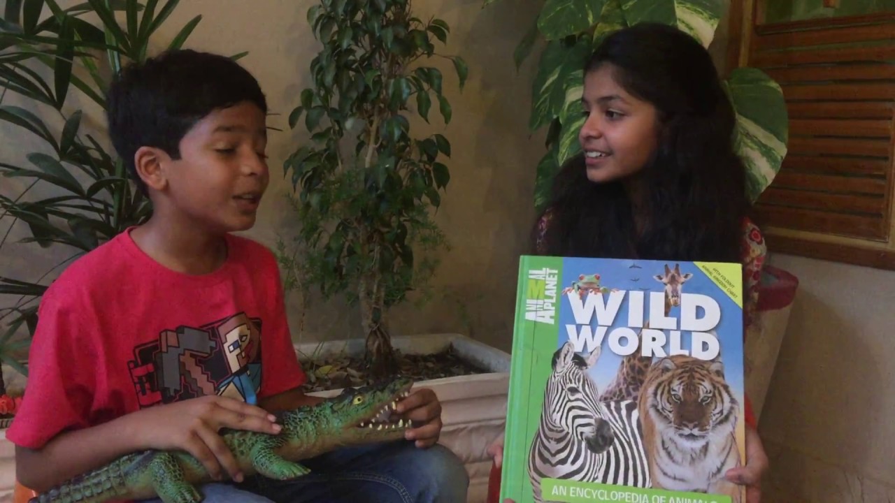 Wild World book review - YouTube