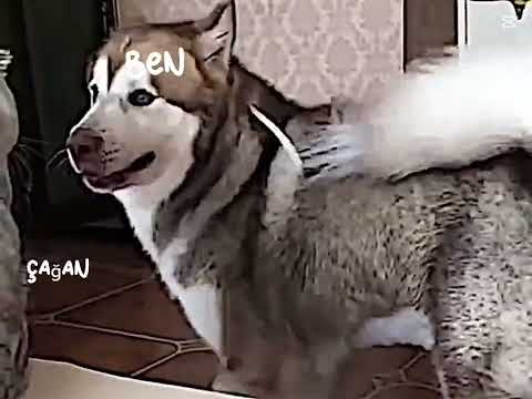 ne yazsam bilemedim