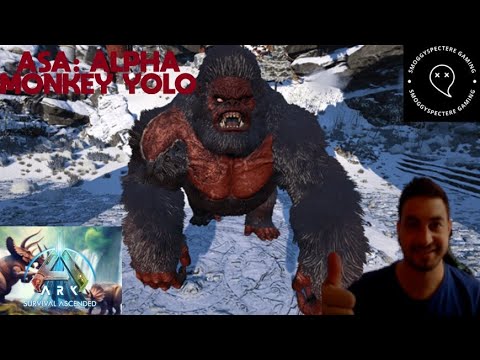 ASA ALPHA MONKEY YOLO With Non-mutated Rexes... and What happened next! - YouTube