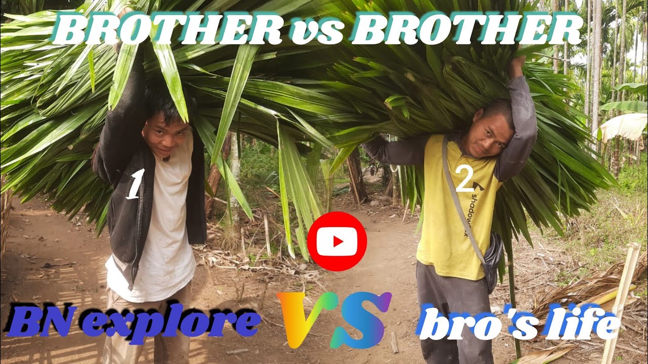 BN explore brother || brother bro's life 👬👬👬👬 - YouTube