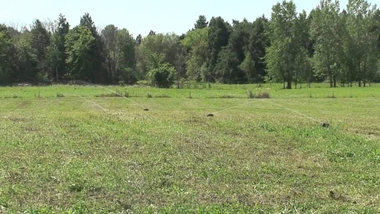 Pod-Line Pasture Irrigation in the Northeast - YouTube