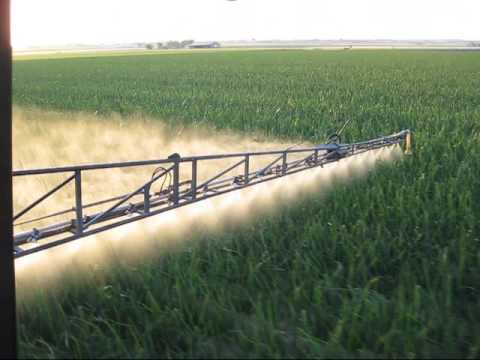 Spraying Onions - YouTube