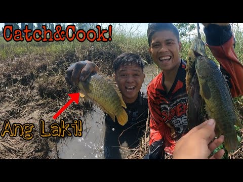 P1.Naglalakihang!! Tinikan At Hito Ang Aming Nakapa Sa mahiwagang Kanal ...