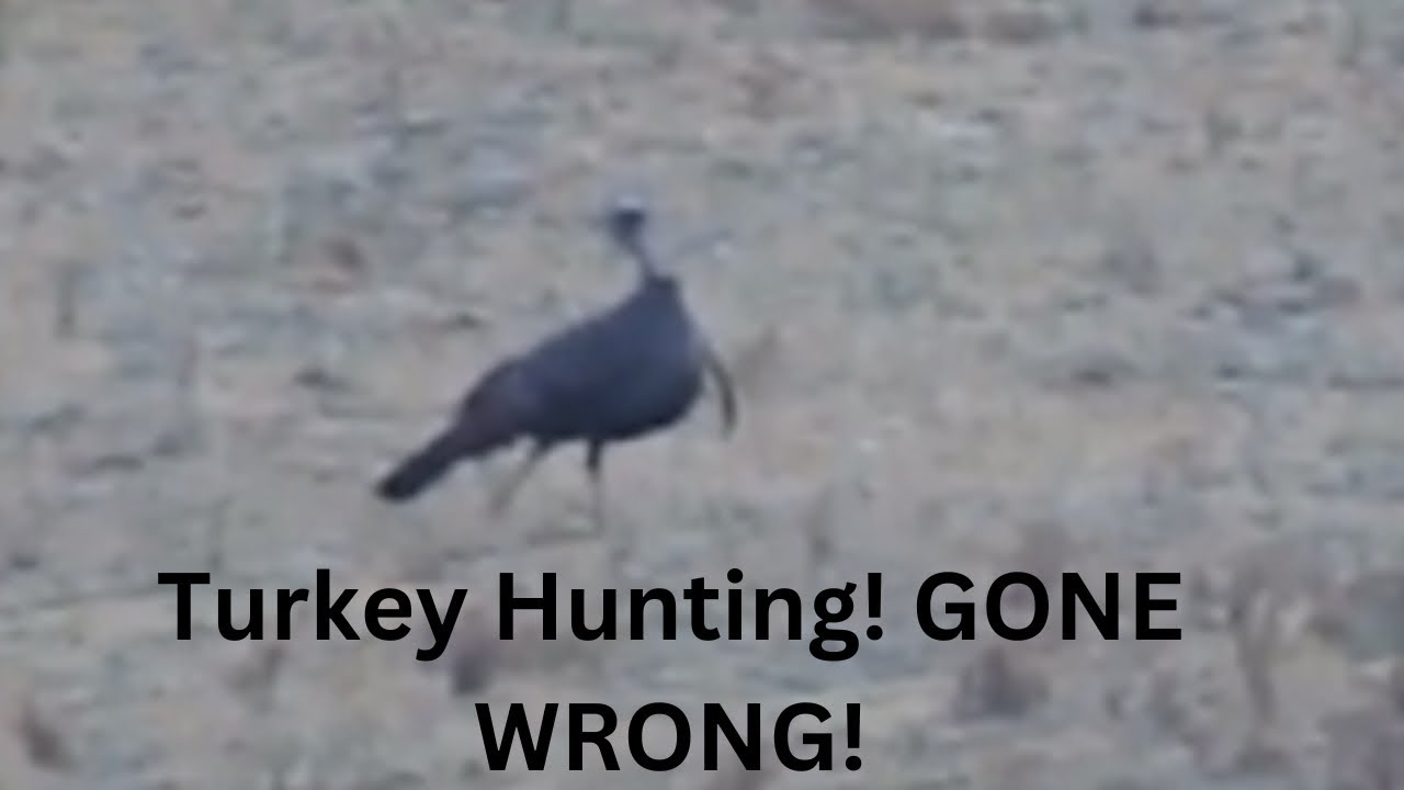 Turkey Hunt GONE WRONG (Southern Virginia) - YouTube