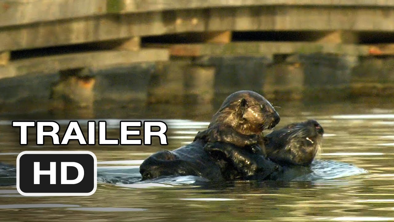 Otter 501 Official Trailer #1 (2012) HD - YouTube