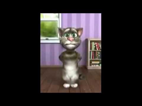 Konuşan kedi bayram tebriği