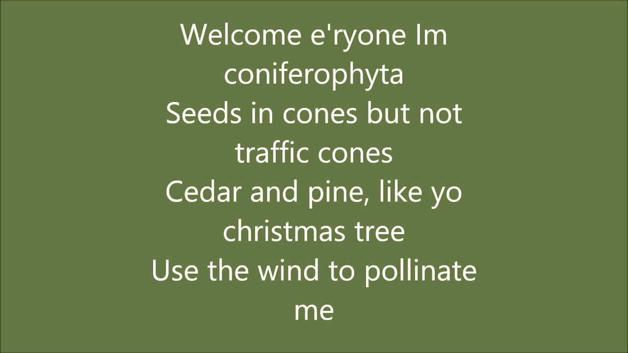Plant Phyla Song - Biology Final Project - YouTube