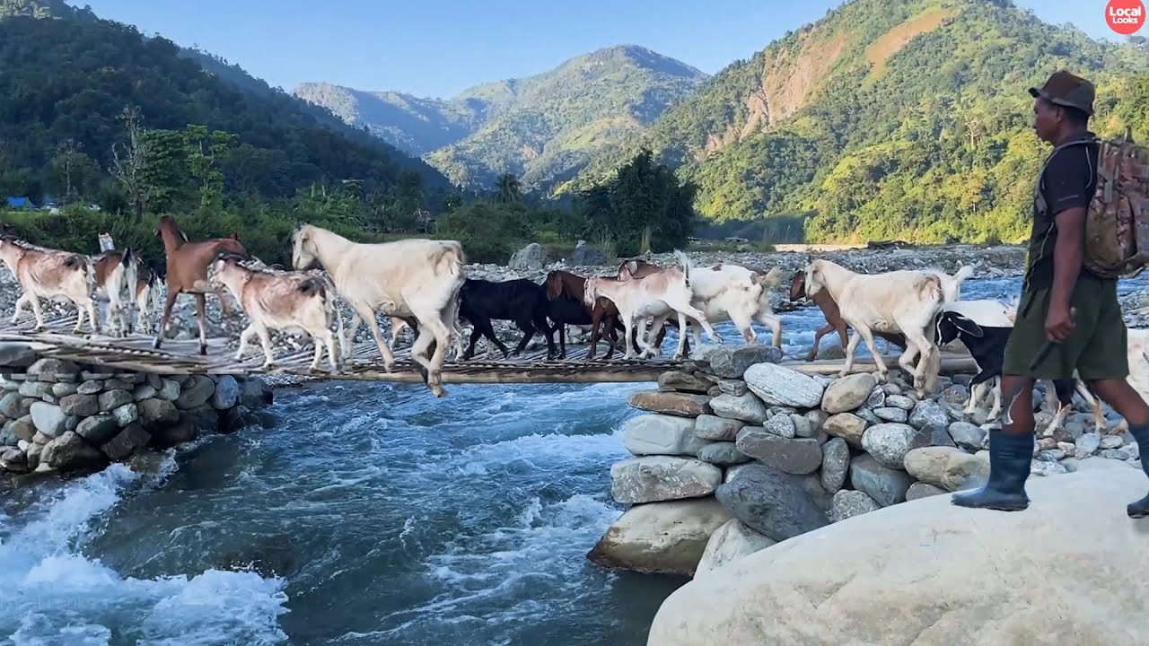 Minimalist Lifestyle of Mountain Villagers-Peaceful Life in Lovely ...