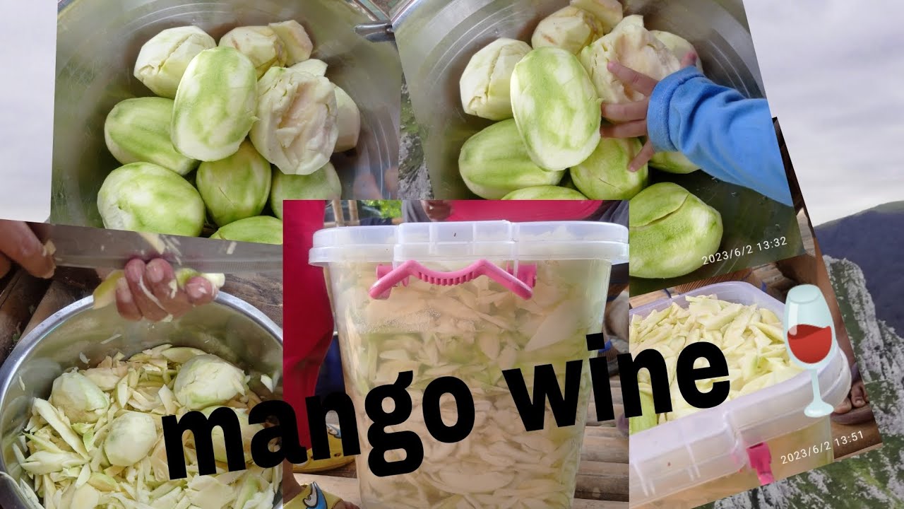 homemade mango wine. - YouTube