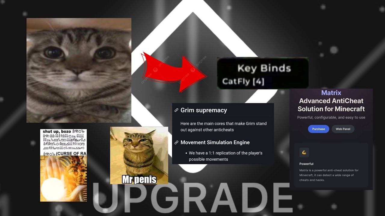 Expensive upgrade private dev CatFly upd 💥 - YouTube