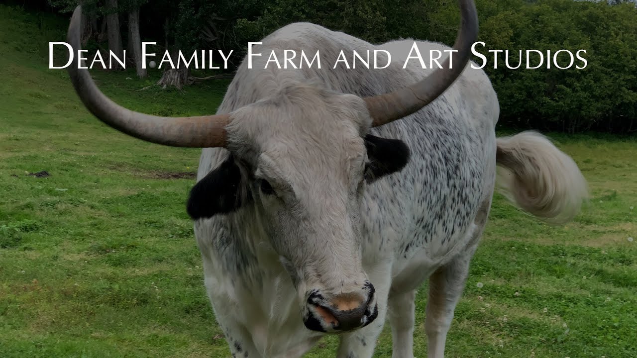 Dean Family Farm and Art Studios - YouTube