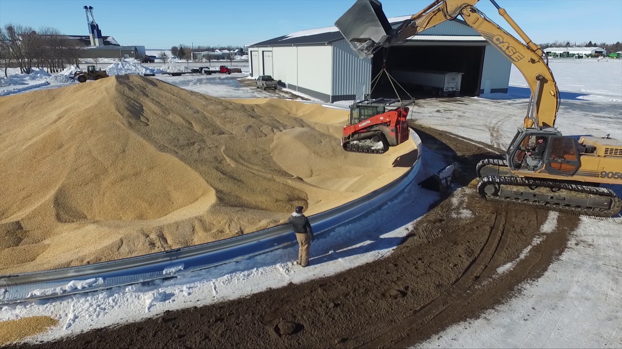 Excavator Picking Corn out of a Grain Ring - YouTube