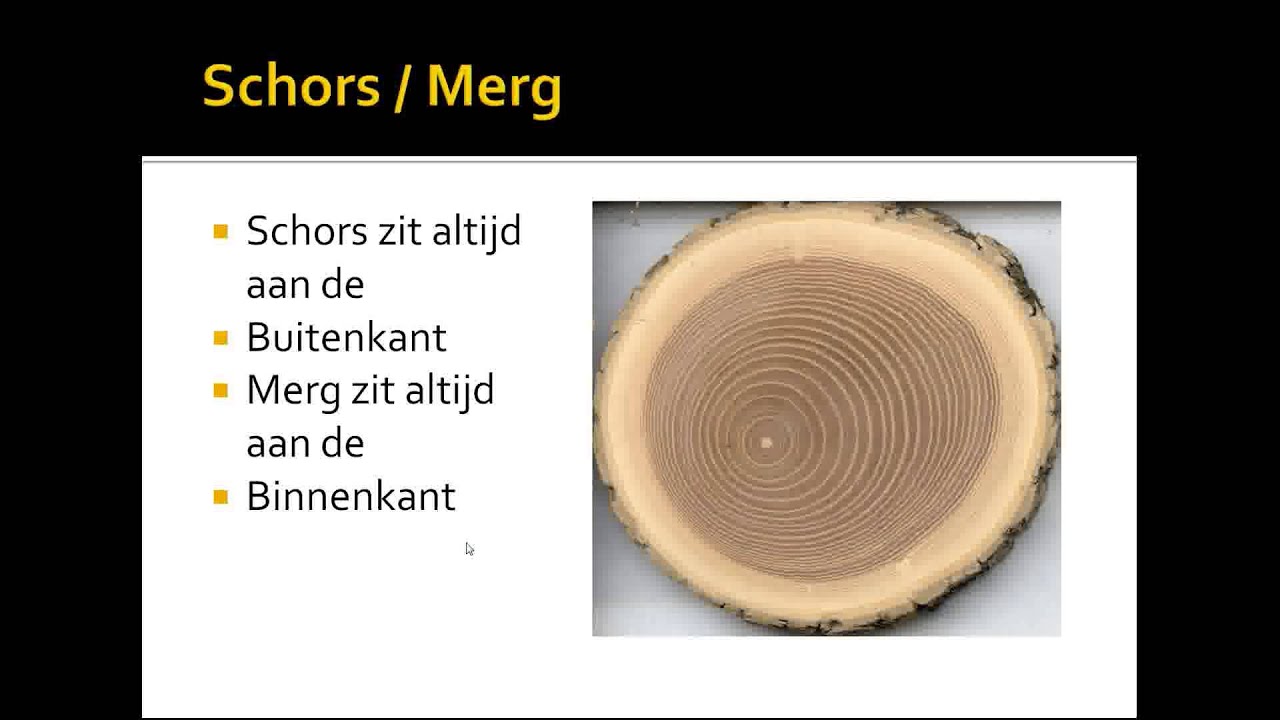 3 Het ruggenmerg mavo 3 & 4 - YouTube