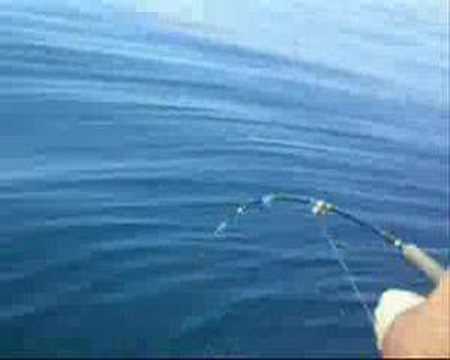 la pesca del mero por paco - YouTube