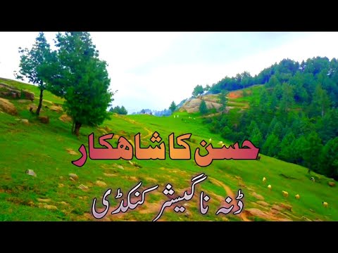 Dana nagishr kankadi|beautiful valley in plandri Azad Kashmir - YouTube