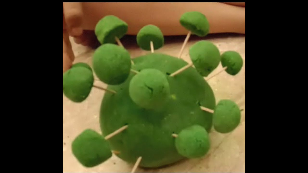 coronavirus project for kids, Covid-19 project for kids, 3D model of ...