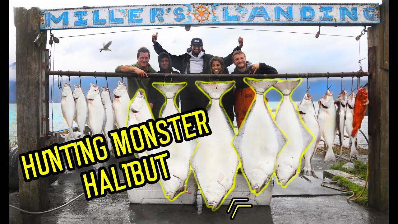 Hunting for MONSTER HALIBUT in deep depths of AK {Hook & Cook, Halibut ...