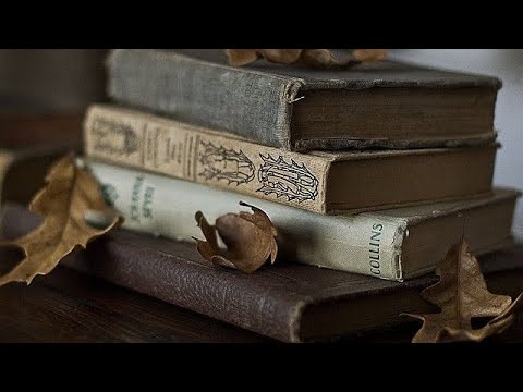 Çingiz Abdullayev Oliqarx Seriası lll-cü kitab XVl-cı fəsil