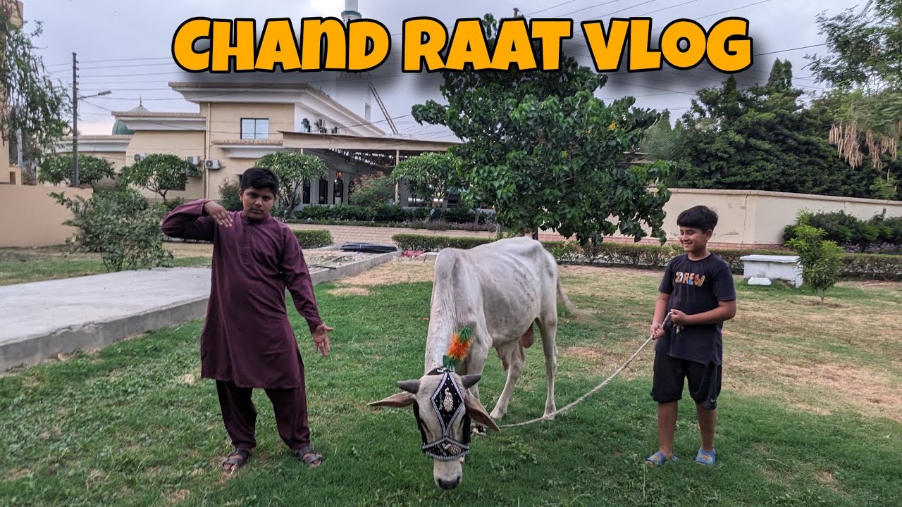 Finally cow leli 😆bht ziada Maza aya 😀|| Zaid Muhammad vlogs - YouTube