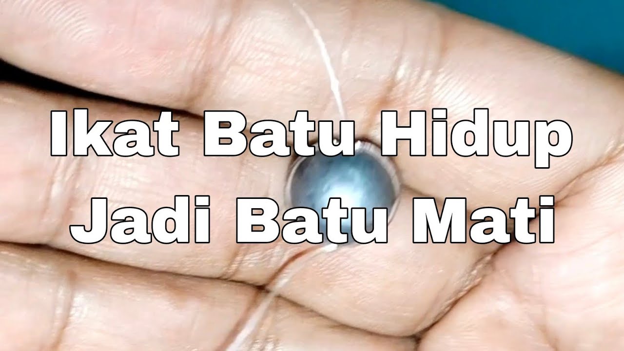 Ikat Batu Hidup Supaya Jadi Batu Mati - YouTube