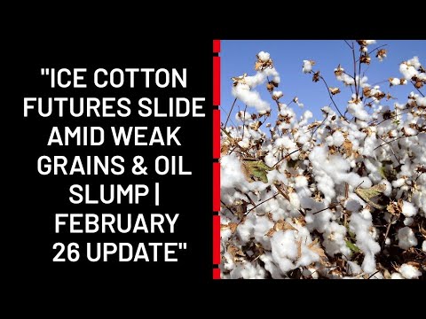 "ICE Cotton Futures Slide Amid Weak Grains & Oil Slump | February 26 ...