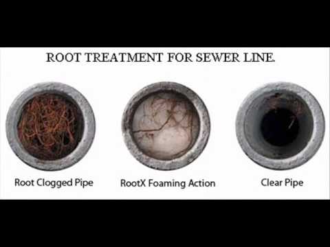 Sewer Line Inspection Spring Field Garden - HM Sewer Service - YouTube