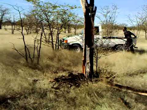 Chopping Trees in Mopipi - YouTube