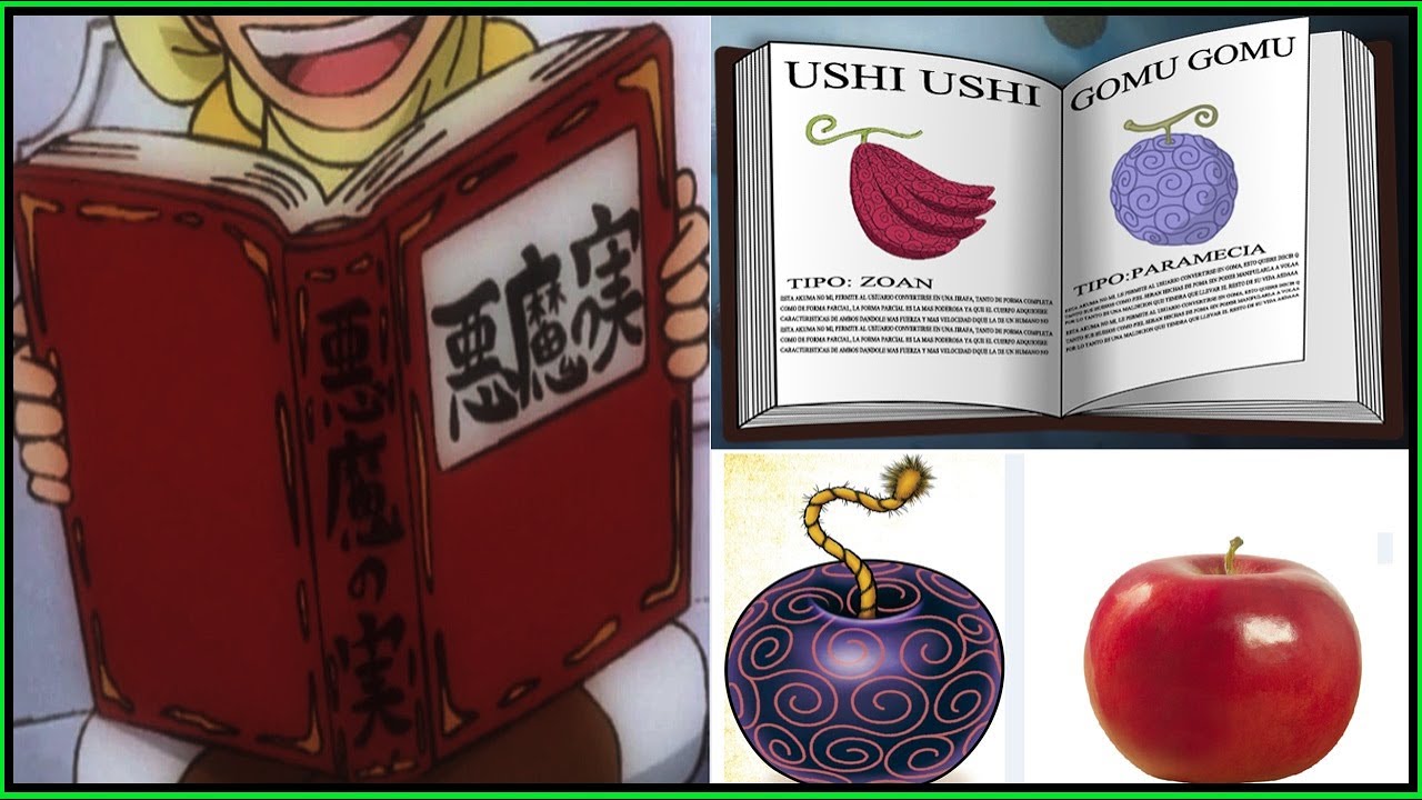 🔴 ¡Enciclopedia AKUMA NO MI! Teoría ONE PIECE 99 - YouTube