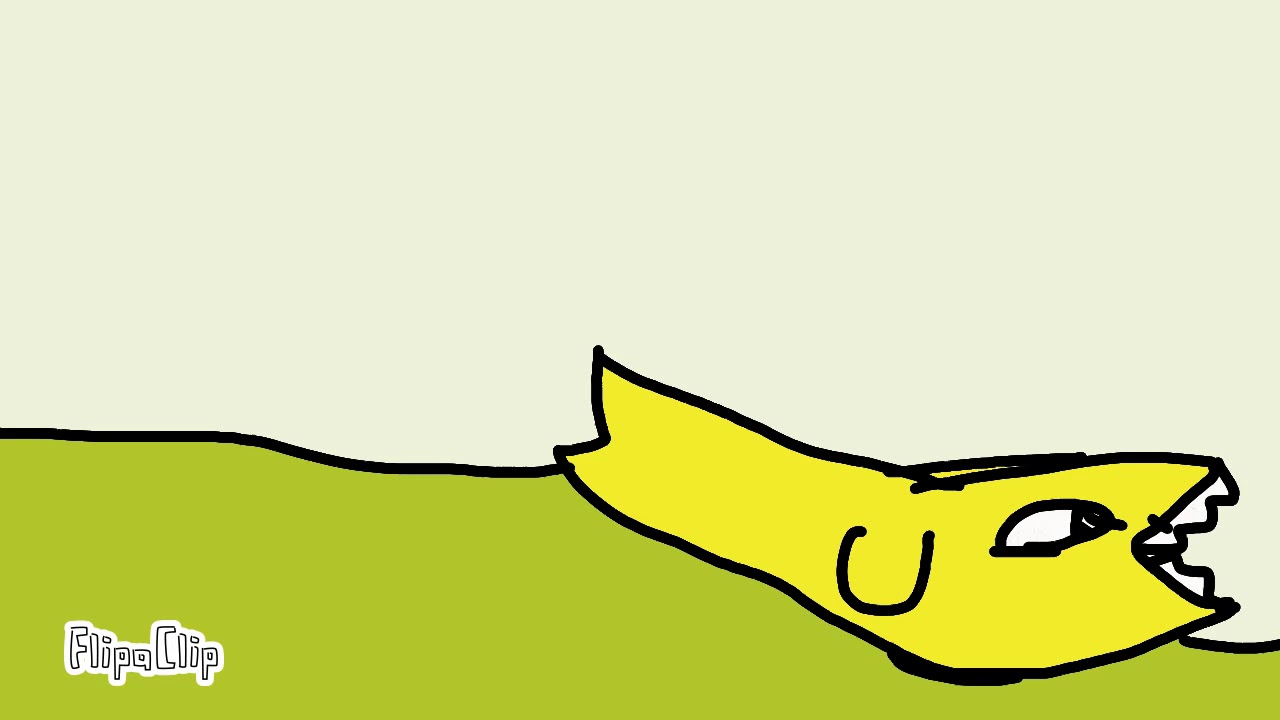 Human evolution animation - YouTube