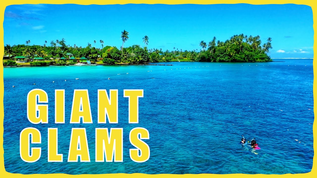 GIANT CLAMS OF SAMOA | SAVAII TO UPOLU | RACHEL'S LAST DAY | Episode ...