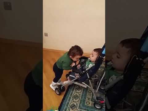 Bayram Eli