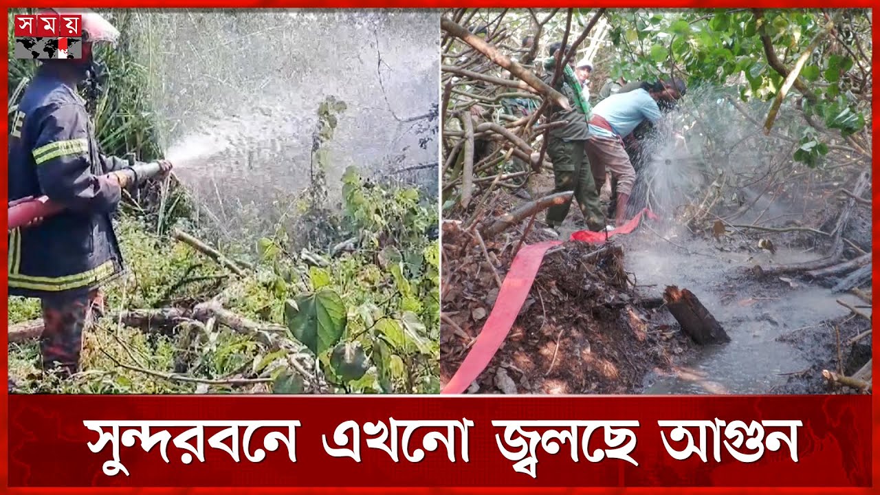 অনেকটা নিয়ন্ত্রণে এলেও এখনো পুড়ছে সুন্দরবন | Sundarban | Fire ...