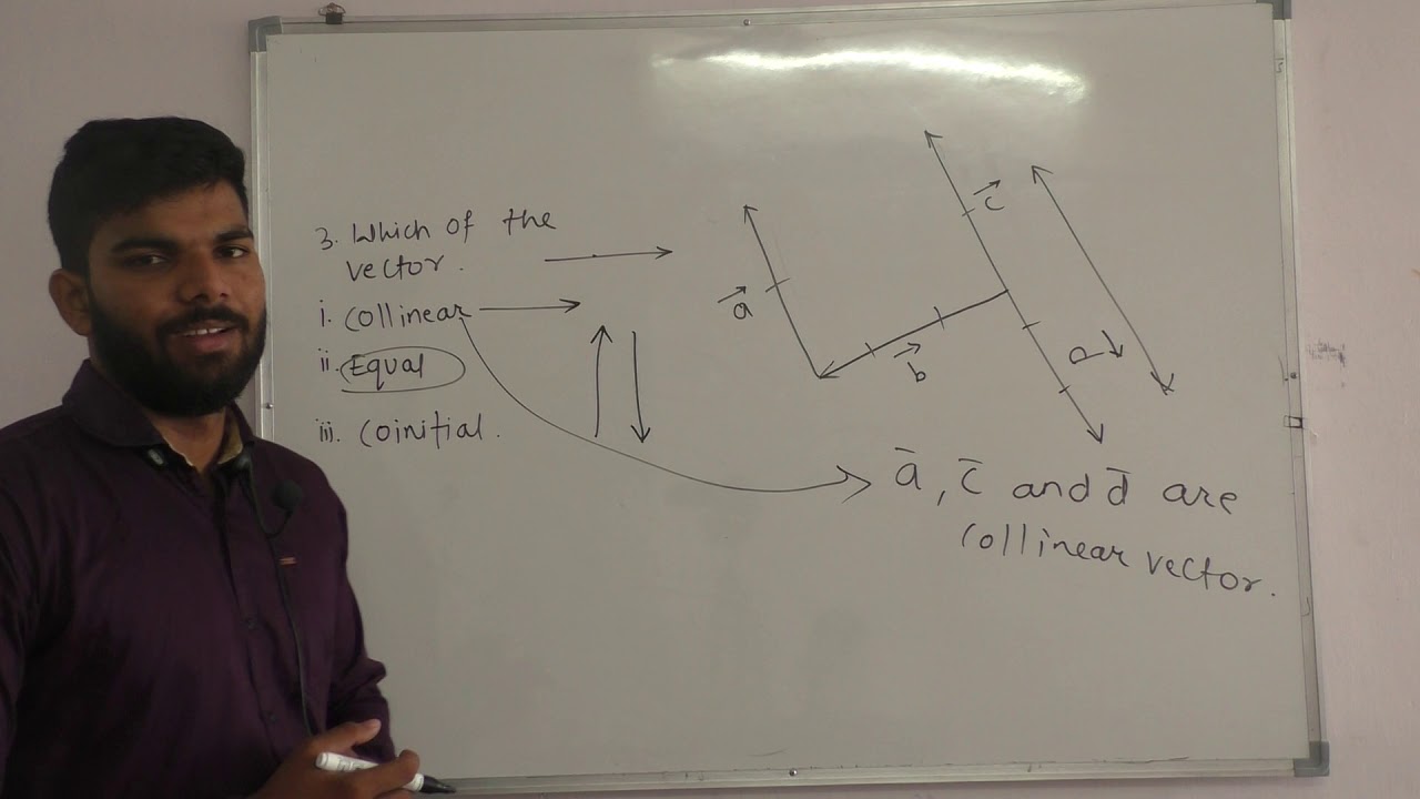 COLLINEAR, EQUAL, & COINITIAL ,VECTORS - YouTube
