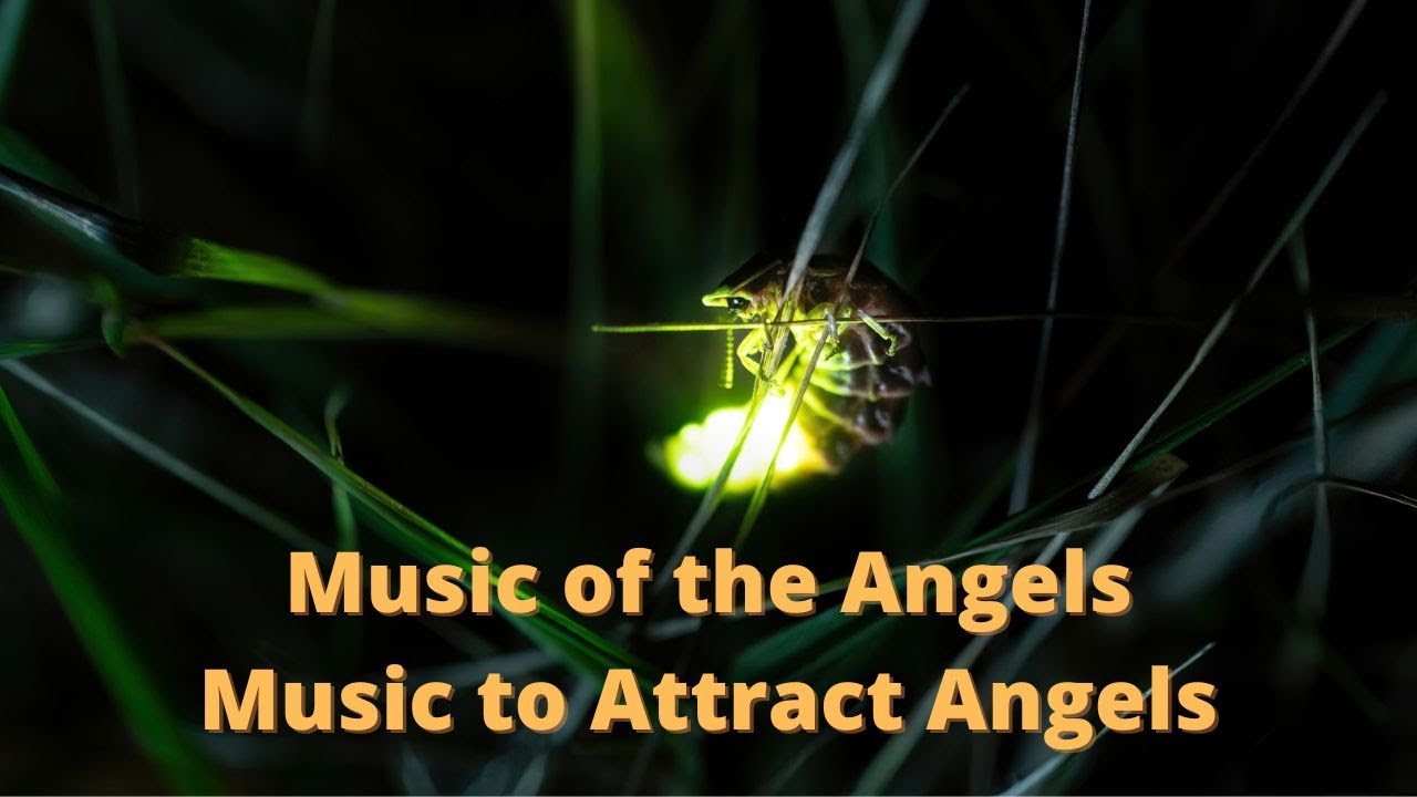 Music of the Angels, Music to Attract Angels, Positive Energy, Angels ...