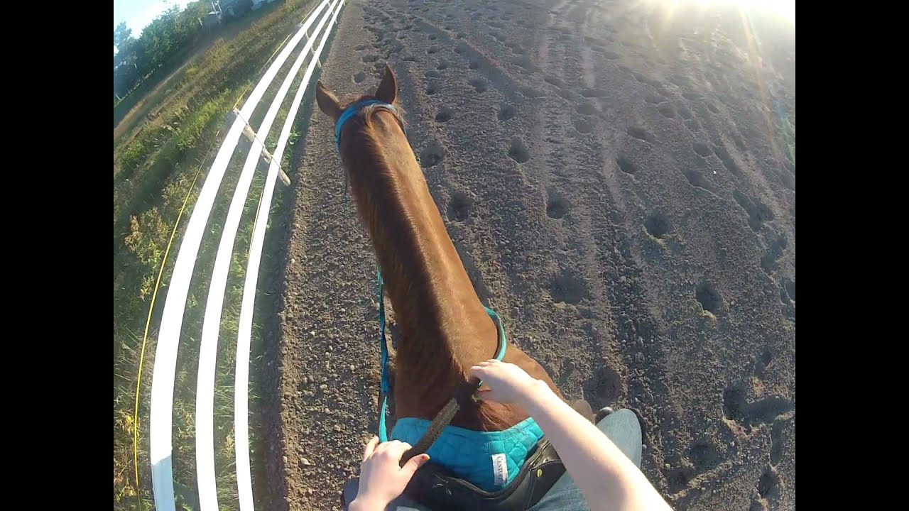 When Doves Cry - YouTube