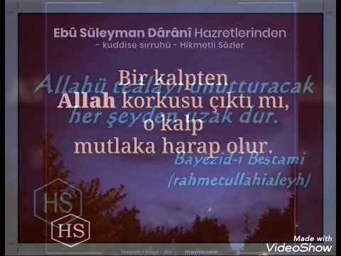 Statusluq video