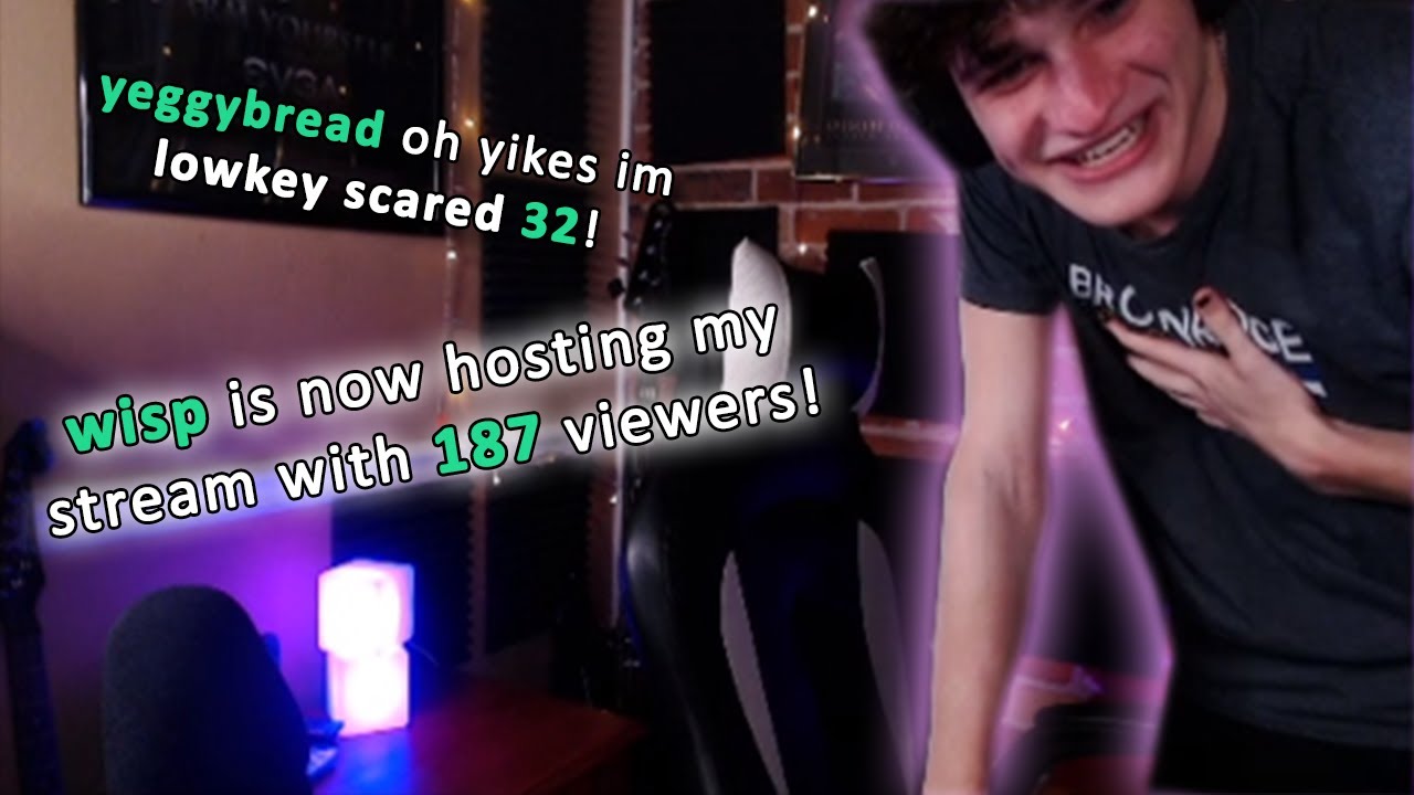 Minecraft Youtuber Wisp raids me?! - YouTube