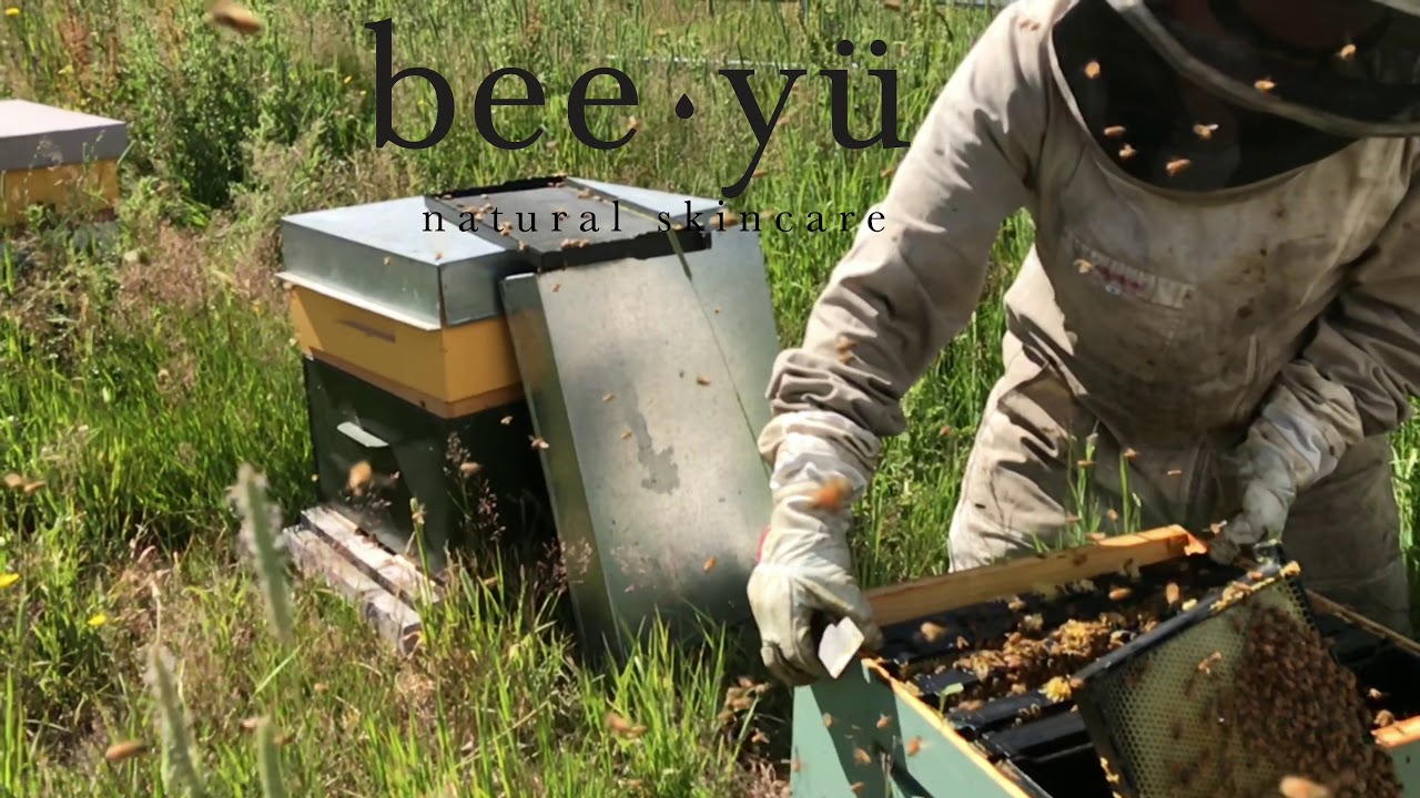 bee yu natural skincare - YouTube