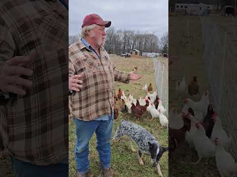 Introduction to Mustard Seed Farm@Mustard Seed Farm - YouTube