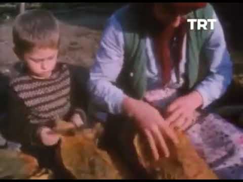 Akçaabat Mersin Köyü - Tütün Üretimi (1986)