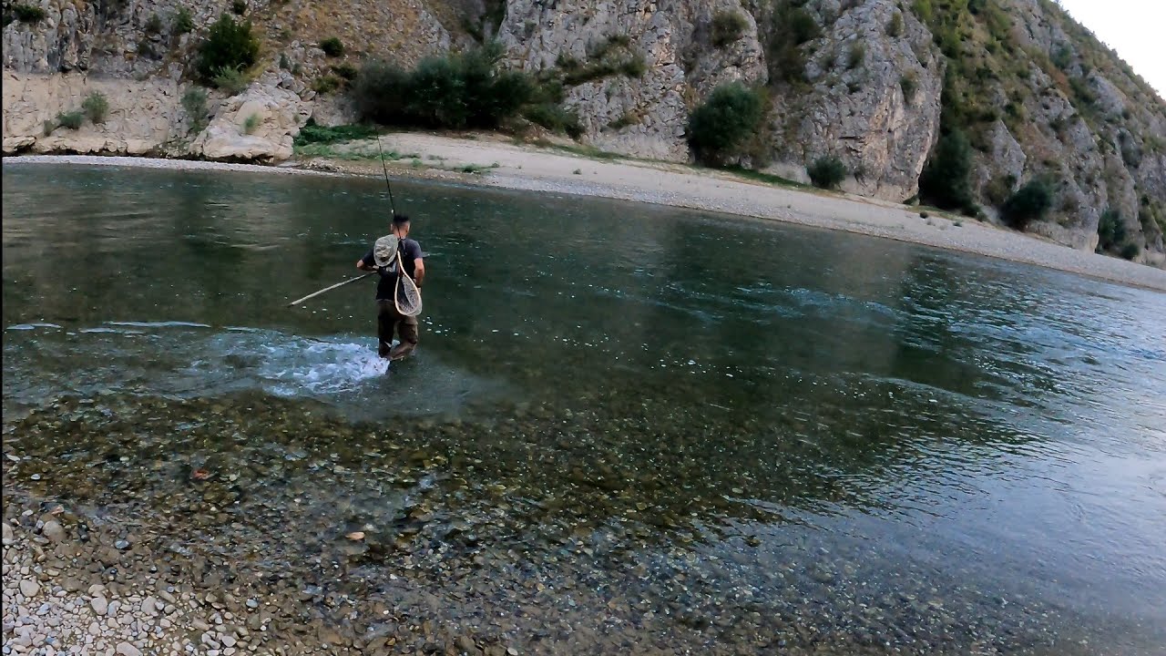 Chub Fishing Spinning Black Drini River - YouTube