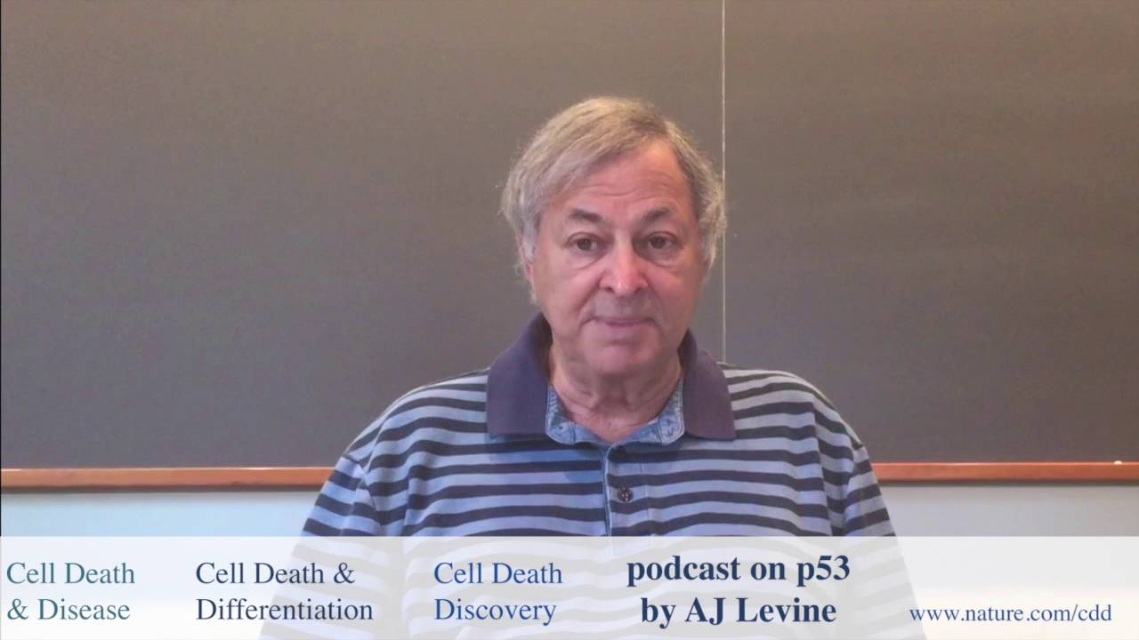 Arnold Levine: a personal view on p53 - YouTube